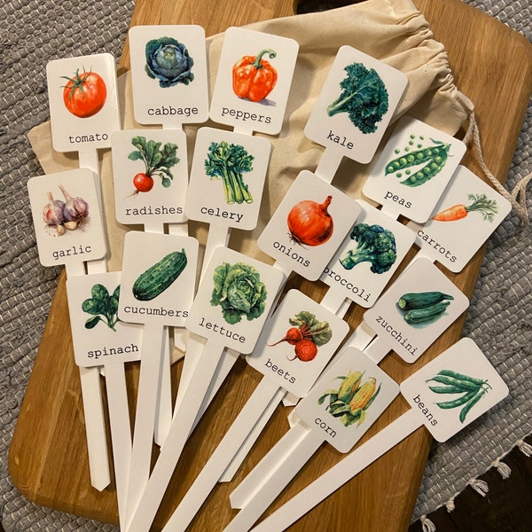 Watercolor Musical Instruments Clipart Bundle, Band Instruments Clipart ...