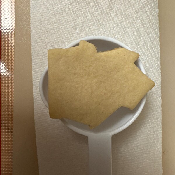 Blushed Bakes by Reva’s Haunted House 2 Halloween Cookie Cutter ...