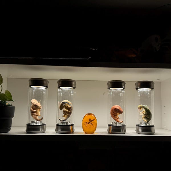 1:6 Scale Alien Egg Facehugger Embryo Xenomorph Egg 1/6 Scale Display ...