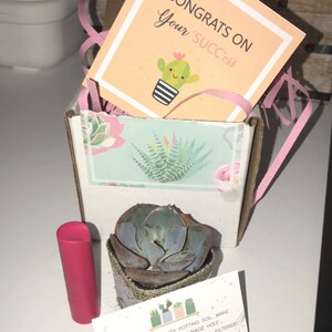 Congrats Gift Box for Her, Way to Go Gift for Best Friend, Thinking of ...