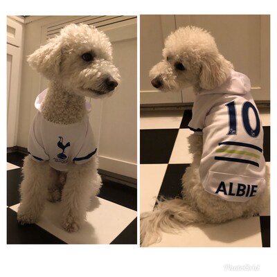 Barcelona Personalised Pet Tank Top FC 23/24 With Original FC Logo dog ...