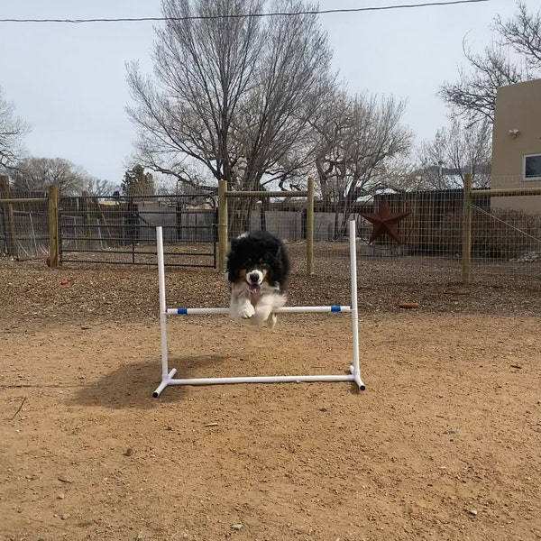 Dog Agility Equipment Weave Pole Guide Wires for 12 Weave Poles 10 ...