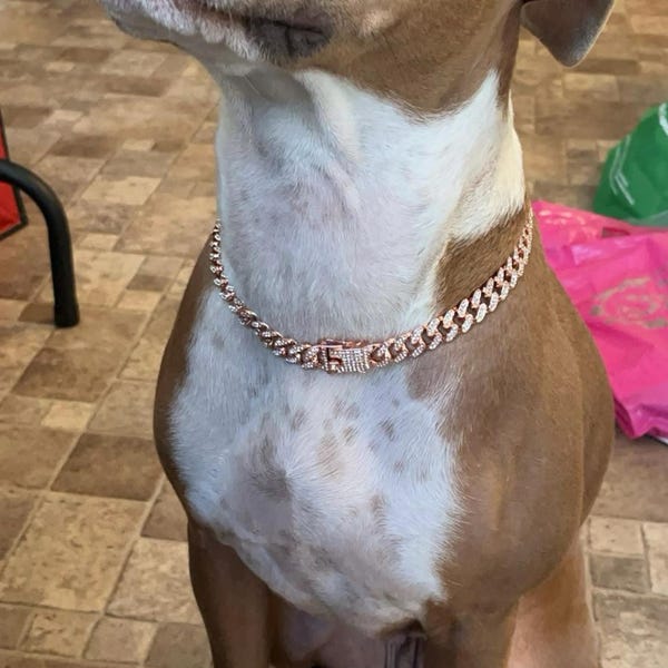 Cuban Link Dog Chain, Rose Gold Custom Pet Chain, Dog Gift, Dog Collar ...