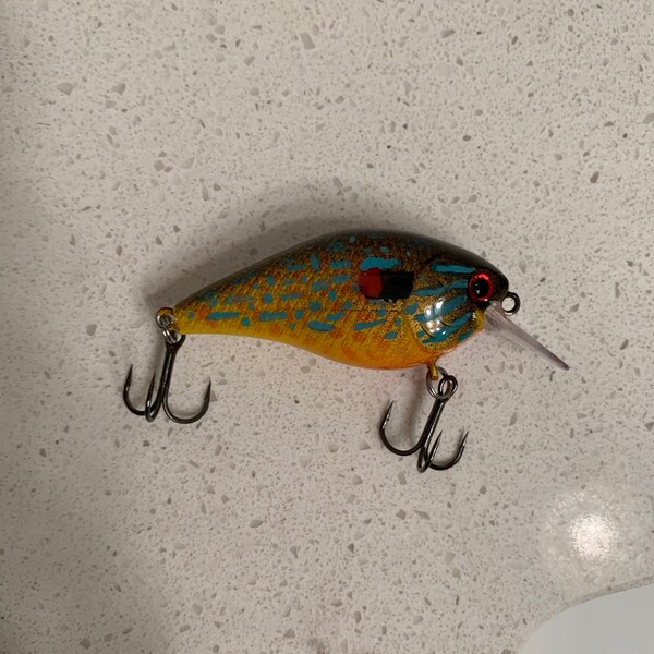 Custom Painted Wiggle Wart, Green Sunfish - Etsy
