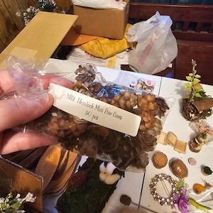 Dried Crepe Myrtle Seed Pods in Assorted Sizes, Natural Dried Mini ...