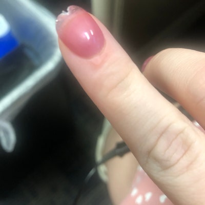 Solid Jelly Color Nails CHOOSE Your Color Gloss or Matte Press on Nails ...