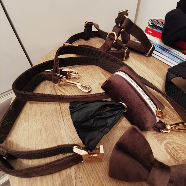 Chocolate Velvet Dog Harness and Leash Set, Personalize Step in Puppy ...