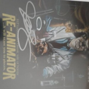 Samantha Fox Authentic Signed 8x10 Photo W/ A1COA Singer Model - Etsy