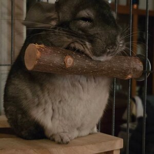 Chinchilla Ledge / Steps / Ramp Mounting Hardware - Etsy