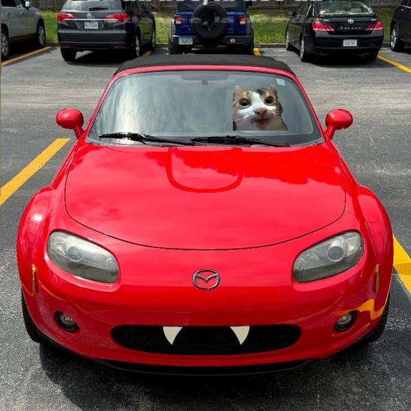 NC Mazda Miata Vampire Fang / Teeth (fits in Grill of NC2 2009-2012 MX5 ...