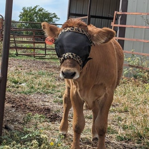 Goat/sheep Fly Masks With & W/o Horns Dual Adjustable Made to Order - Etsy