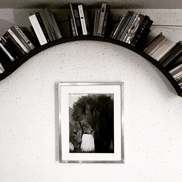 Sloth and Hummingbird Pencil Drawing Print, Original Drawing 3x2 Print ...