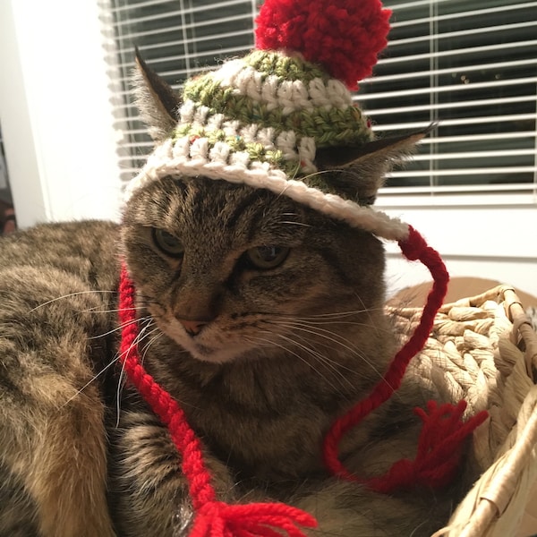 Crochet Pattern: Striped Beanie Hat for Cats, PDF Digital Download ...