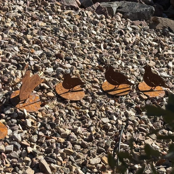 Rustic Metal Raccoon Rusty Yard Art. - Etsy