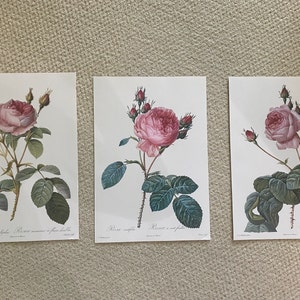 Antique Ohio Rose Quilt Pattern/ Applique Block Pattern Quilt | Etsy