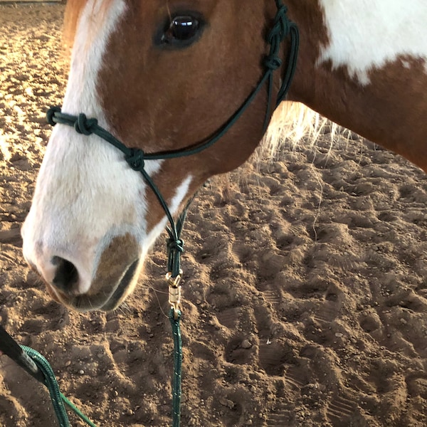 12' LEAD ROPE W/ Parelli Snap for Natural Horse Training - Etsy