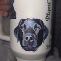 Pothos SVG File Digital Download for Cricut Silhouette Etc. - Etsy Canada