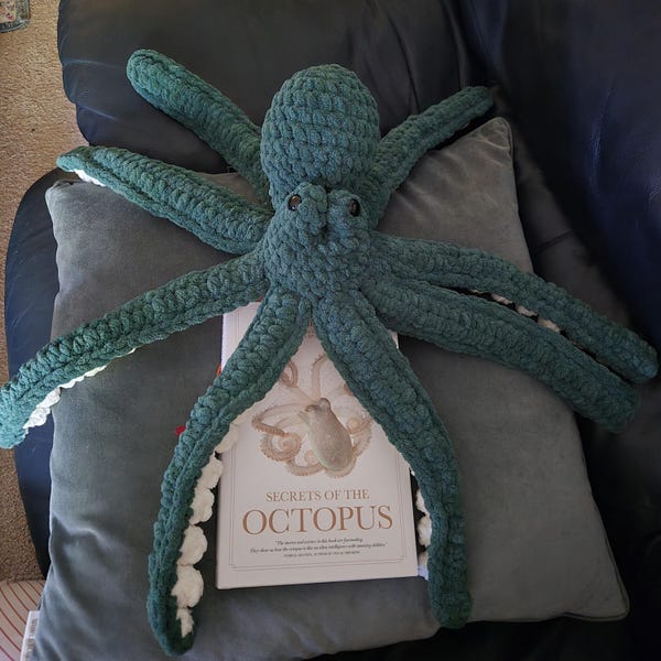 Finn the Turtle Plushie - Etsy