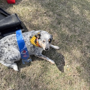 World Map Tie, Geography Tie Gift for History Teacher, Vintage Map of ...