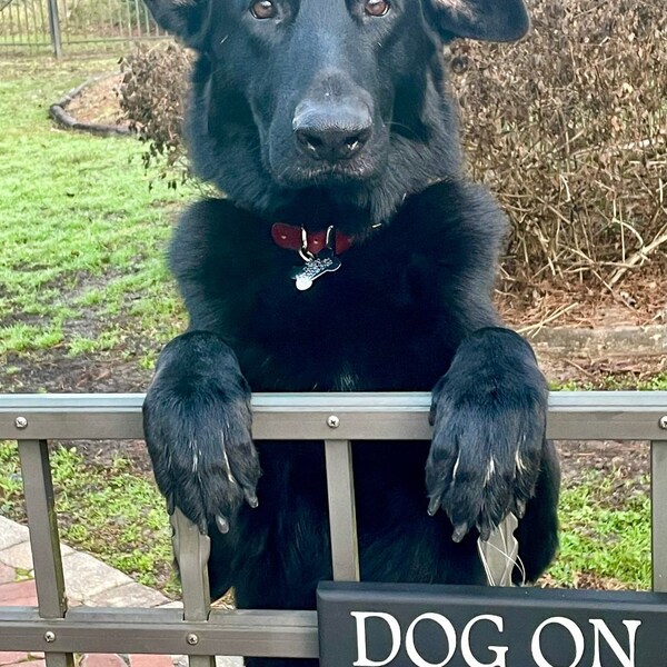 Dog Sign for Gate Dog on Premises Wood Vinyl Sign With Decorative Paw ...