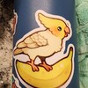 Fruit Salad Bird Sticker Set / Cockatiel Sticker / Bird Lover Water ...