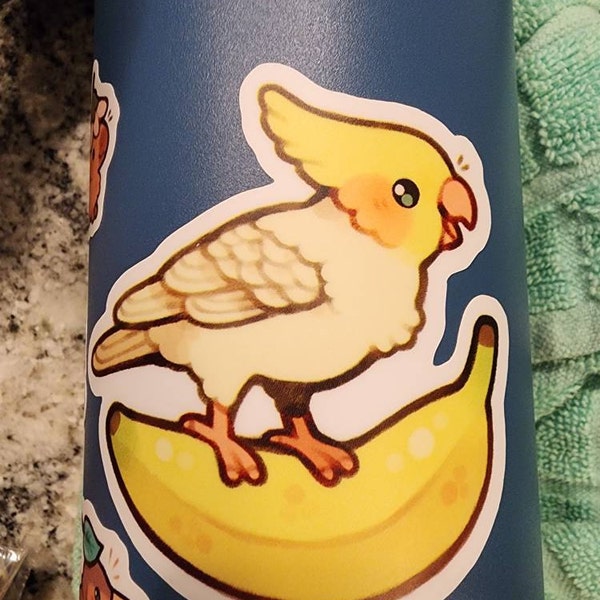 Fruit Salad Bird Sticker Set / Cockatiel Sticker / Bird Lover Water ...