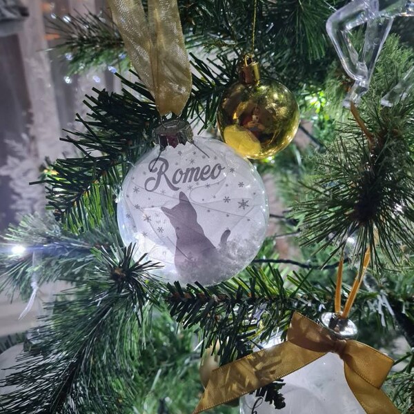 Cat Wheelie Bin Sticker Permanent Outdoor Transfer - Etsy