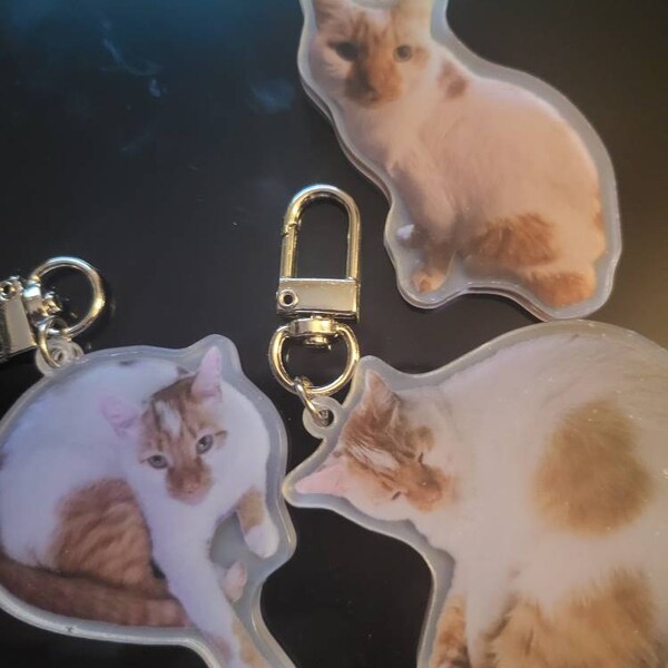 Custom Cat Keychain, Dog Keychain, Pet Keychain, Personalized Pet Photo ...