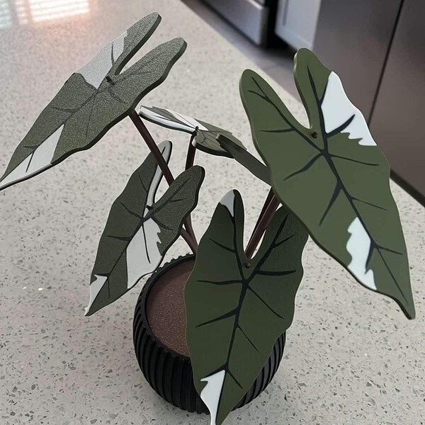Coaster Plant Set for Drinks Decoration Plant Variegated Leaves ...