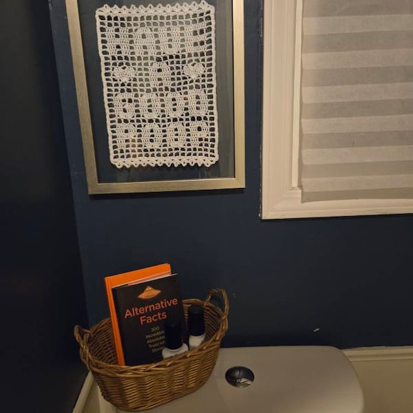 Fricken Bats Filet Crochet Doily Pattern - Etsy