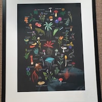 Scottish Highland Flora and Fauna Art Print Nature Botanical Print ...
