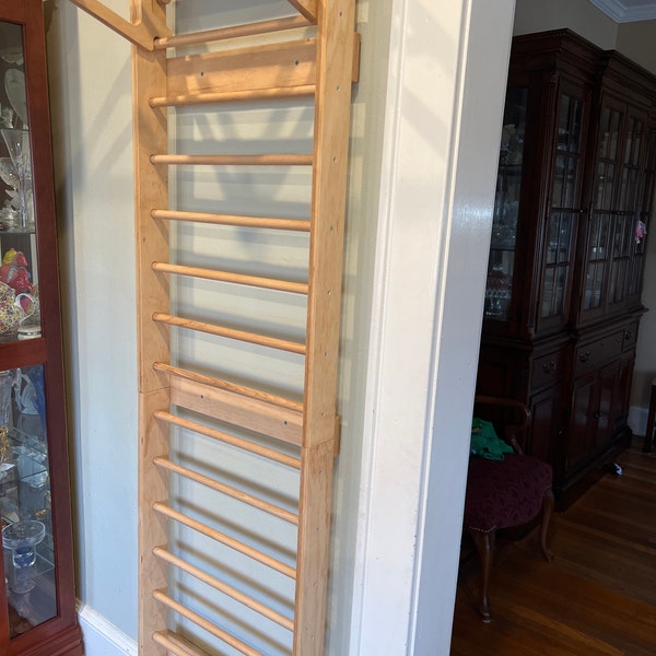 Climbing Wall for Toddler Indoor Playground, Nursery Kids Gym ...