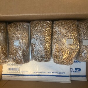 BULK PACK Mushroom Monotub Filter Patch - Etsy