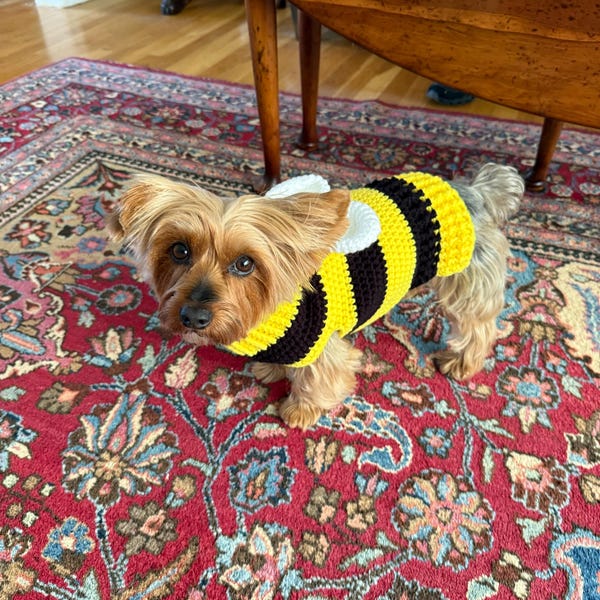 Bumblebee Dog Sweater / Halloween Costume Available in 4 Sizes - Etsy