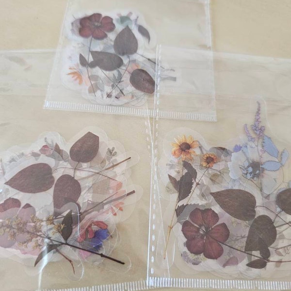 Retro Film Frame Sticker, Vintage Camera Film Roll Sticker, Film Strip ...