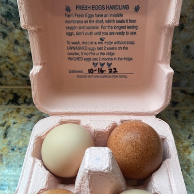 EGG HANDLING Instructions Stamp Egg Carton Stamp, Egg Safety Stamp ...