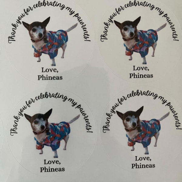 Back to School Poppin' Stickers, Meet the Teacher Gifts for Students ...