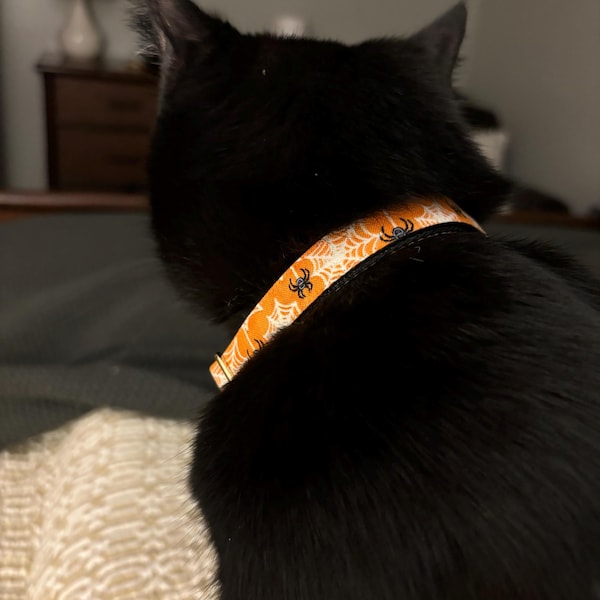 Engraved Cat ID Tag / Cat Tag Pet ID / Cat Collar Id Tag / Personalized ...