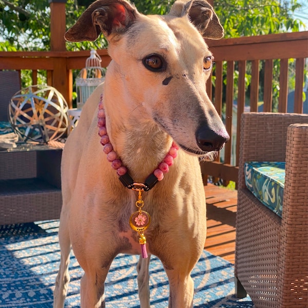 O-rings, Lobster Clasps, Carabiner, Pet ID Tag Clasp, Dog ID Tag Clasp ...