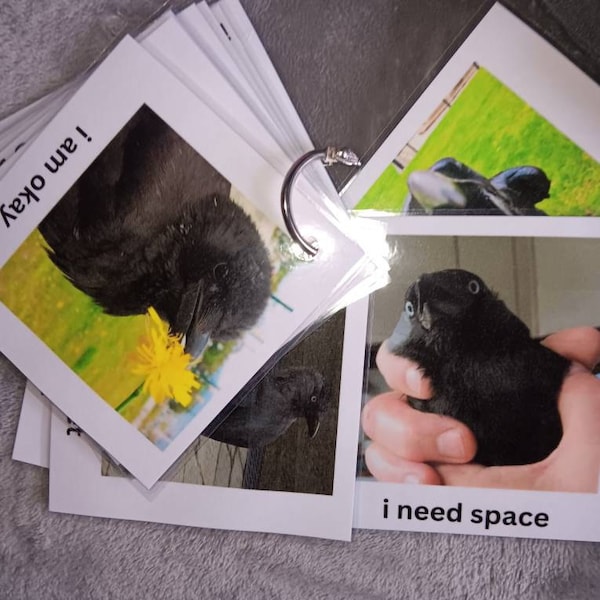 Custom Themed Set of Communication Cards (AAC, Nonverbal Aid, Autism ...