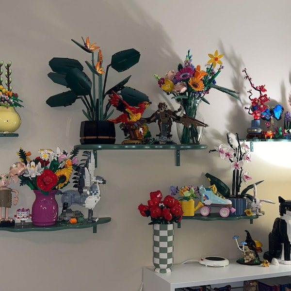 Wavy Shelf | Squiggle Shelf | Funky Decor | Book Shelf | Wall Shelf ...