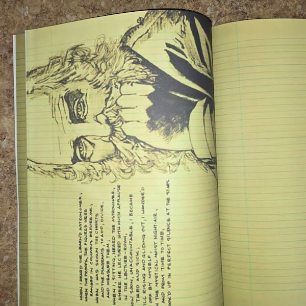 Princess Fiona's Diary From Shrek. Screen Replica Fan Gift Diary ...