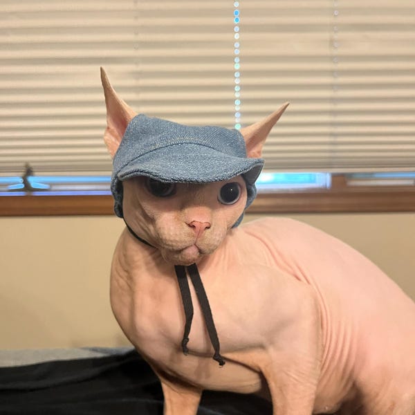 Sphynx Cat Hat, Bambino Sphynx Hat,denim Sphynx Cat Hat, Sphynx Hat ...