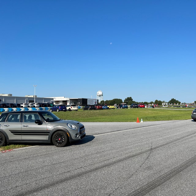 fiddleheadsandchaos (by Pamela Merriam) - Etsy