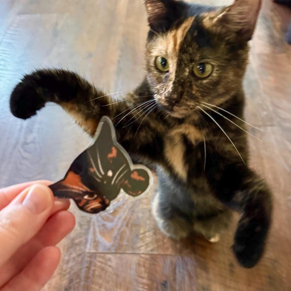 Biting Kitty Clips - Cat Journaling Clips - Cat Chip Clips - MAGNET ...