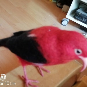 The Felt Bird Cockatiel. Handmade Felted Bird. the Most - Etsy