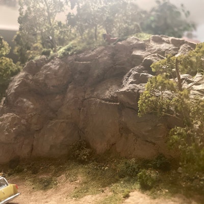 Teloxys Aristata, Seafoam Trees, Sea Moss, Seafoam, Aka Seafoam ...