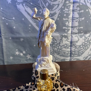 Salus Ancient Roman Goddess of Health Roman Bust 7.5in | Etsy