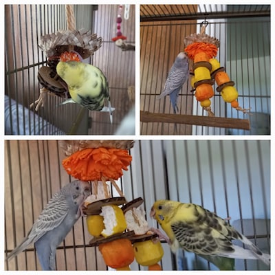 Botanical Bliss Seagrass Foraging Tray Rose Blossom Foraging Tray for ...