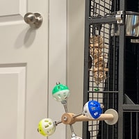 Perch Toy With Rotating Balls for Budgies, Budgerigars, Parakeets ...
